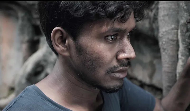 এলো ‘বিলাই’